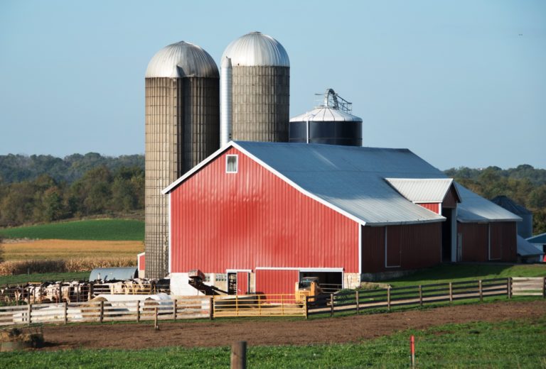 How Sturdy Is a Metal Barn Compared to a Pole Barn?